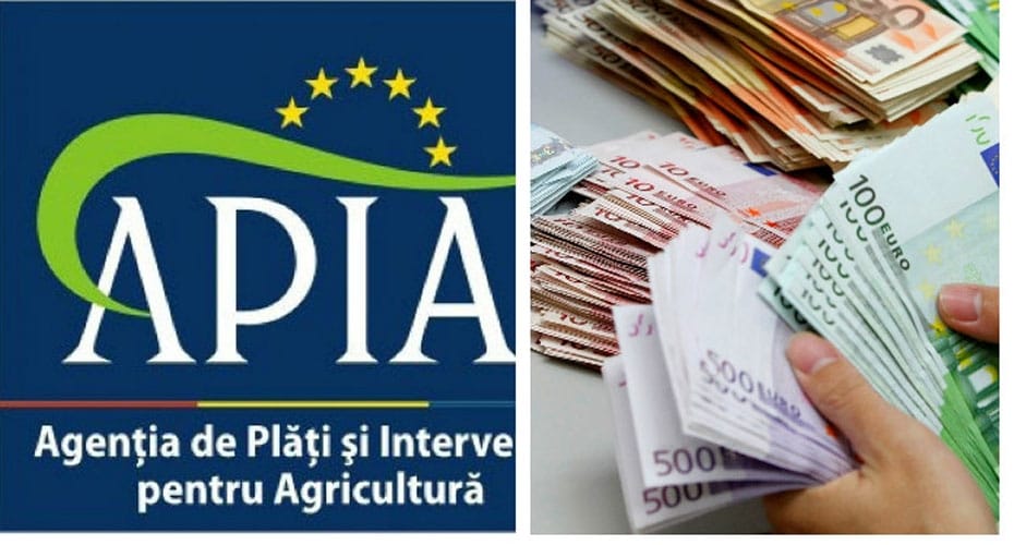APIA anunță ASTĂZI: Plăți crescătorii de animale! - AgroInfo